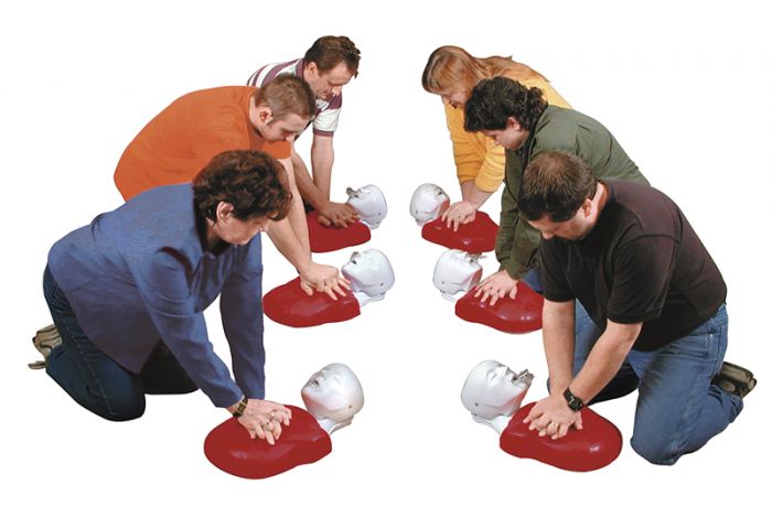 Basic Buddy CPR Torso, 5-Pack for £518.29 | Medical supplies