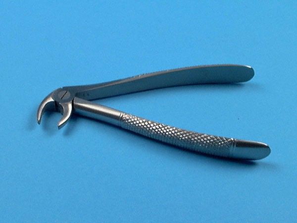 Adult Forceps n 13 canines and premolars, 15 cm Holtex for %S
