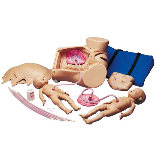 Advanced childbirth simulator W45025 for £871.00 in Birthing simulator
